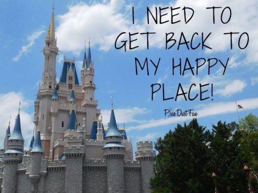 How Do You Afford To Go To Disney So Often?